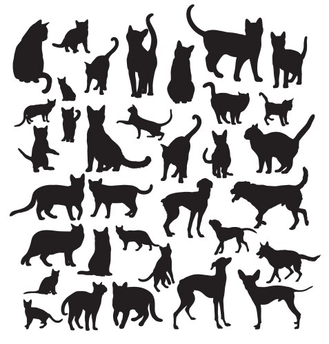 Aggressive cats silhouette Royalty Free Vector Image