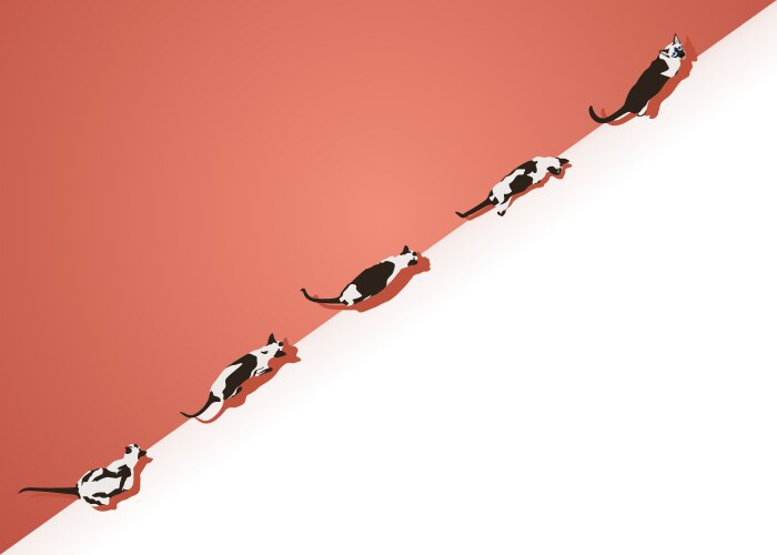 Siamese cat character design pet isolated Vector Image