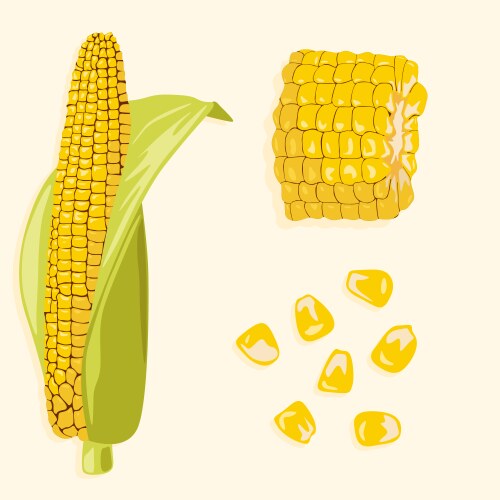 Realistic image of pieces corn Royalty Free Vector Image