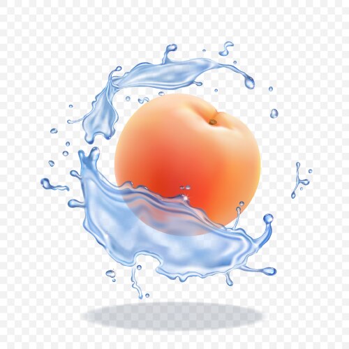 Half Peach Vector Images (over 2,700)
