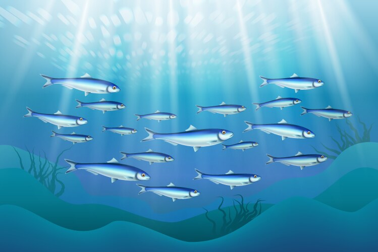 Realistic Fish Vector Images (over 5,700)