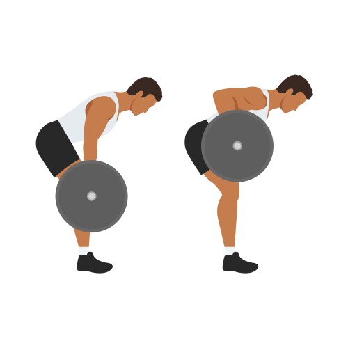 Bent Over Barbell Row Vector Images (41)