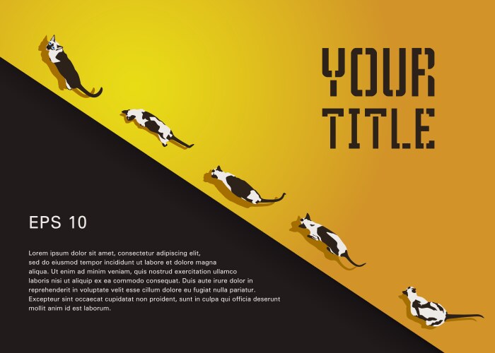 Siamese cat character design pet isolated Vector Image