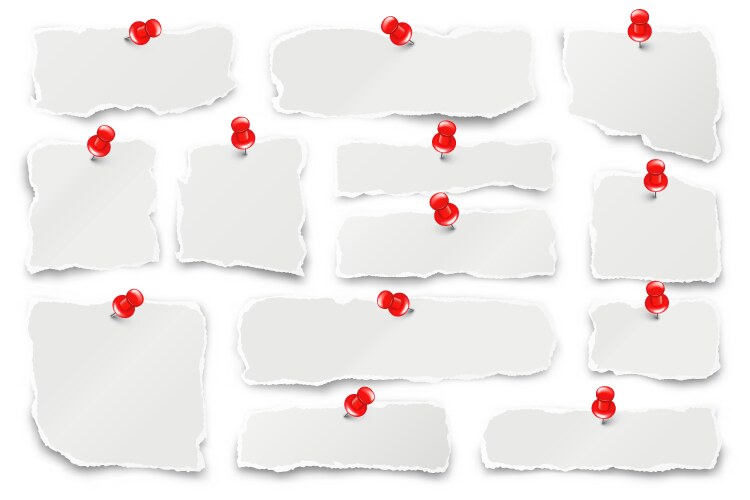 Ripped paper strips with handwritten text Vector Image