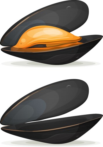 Mussels in shell isolated of seafood Royalty Free Vector