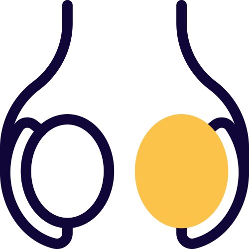 Testicle Vector Images (over 2,600)