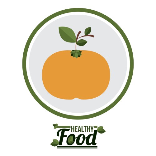 Healthy food design Royalty Free Vector Image - VectorStock