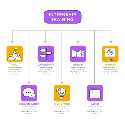 Internship training infographic Royalty Free Vector Image