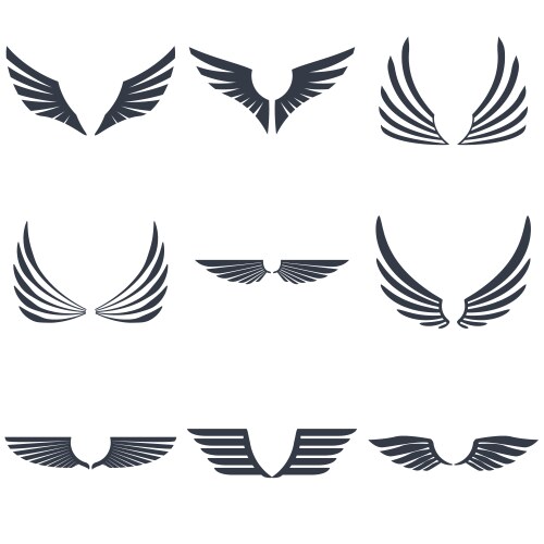 Wings set Royalty Free Vector Image - VectorStock