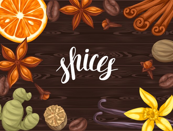 Banners design with various spices Royalty Free Vector Image