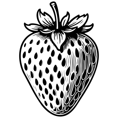 Line Drawing of Strawberry Simple Vector Images (over 770)