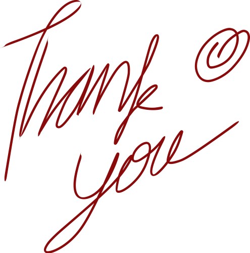 Thank you writing design suitable for greeting Vector Image
