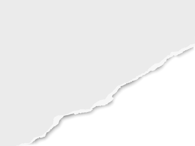 Torn a half sheet of white paper from the bottom Vector Image