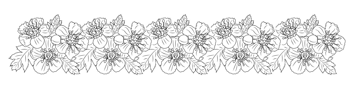 May Border Vector Images (over 1,300)