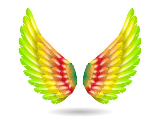 Realistic rainbow angel wings isolated Royalty Free Vector