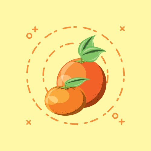 Citric fruits design Royalty Free Vector Image