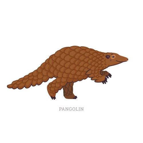 Cute pangolin cartoon Royalty Free Vector Image