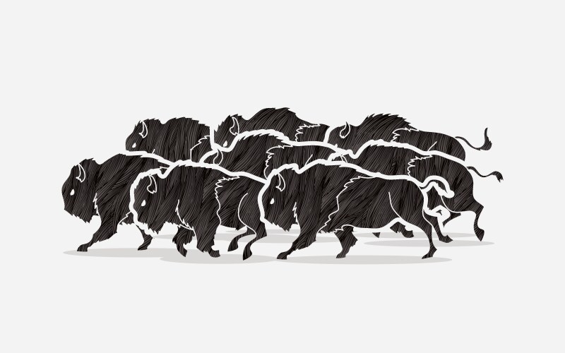 Group of buffalo running graphic Royalty Free Vector Image