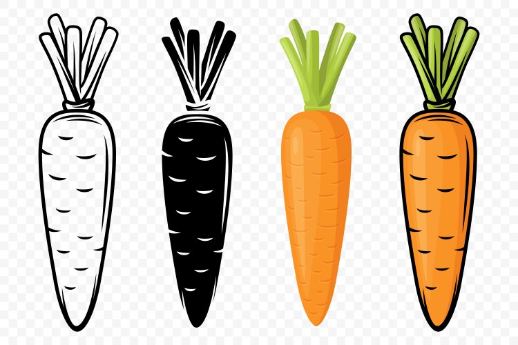 Realistic carrot icon isolated on white Royalty Free Vector