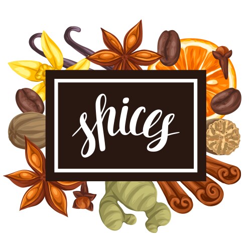 Banners design with various spices Royalty Free Vector Image