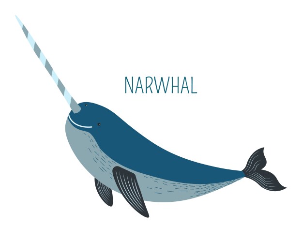 Narwhal Vector Images (over 2,800)