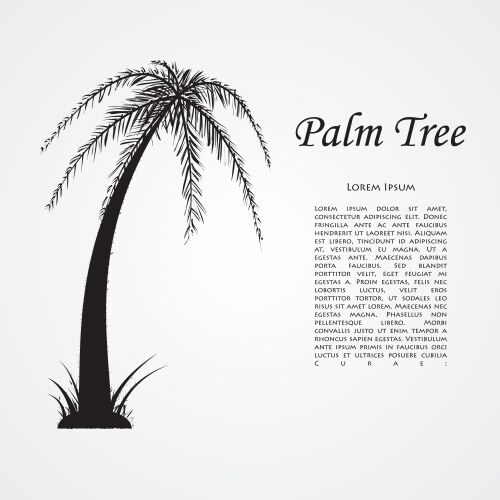Brochure flyers template with palm tree Royalty Free Vector