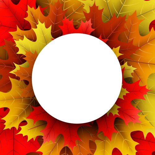 Autumn background with round frame and maple Vector Image