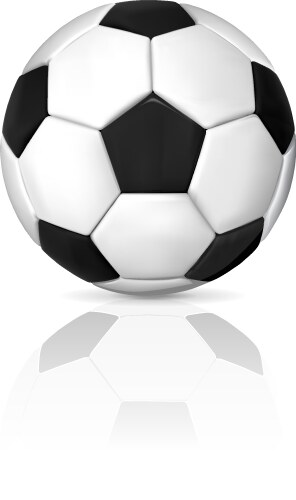 Leather soccer ball Royalty Free Vector Image - VectorStock