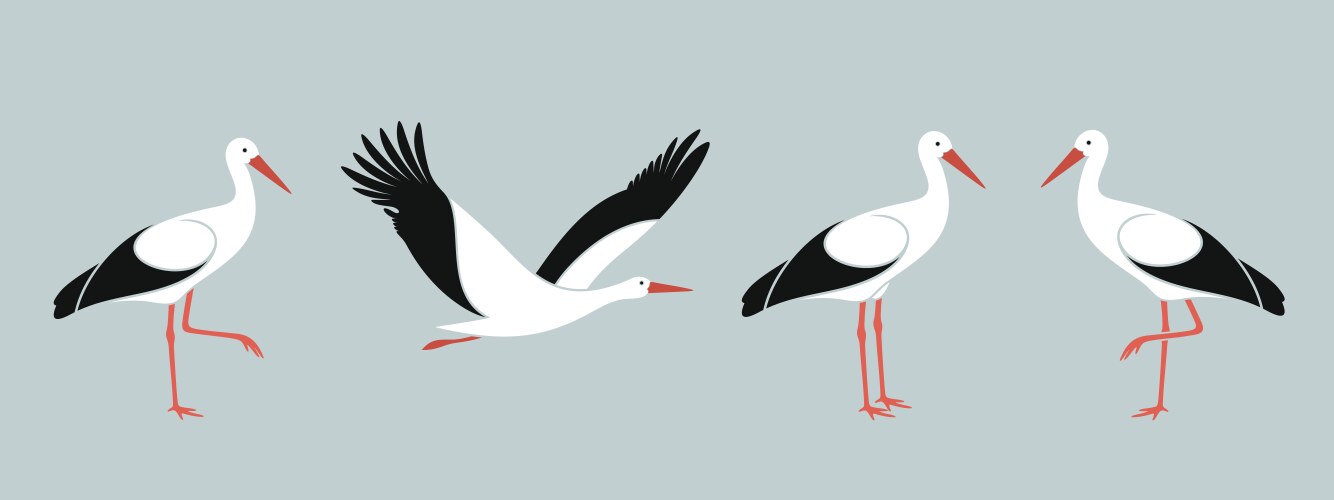 Stork Royalty Free Vector Image - VectorStock