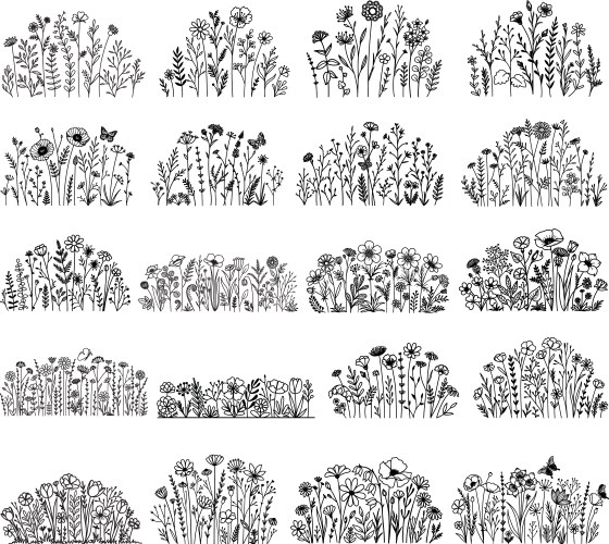 Wild field flower line set Royalty Free Vector Image