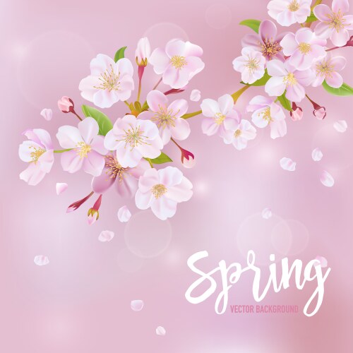 Blossom Vector Images (over 550,000)