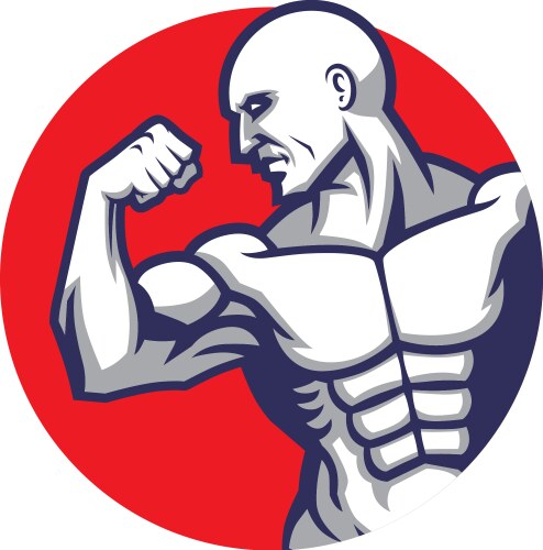 Muscle Vector Images (over 140,000)