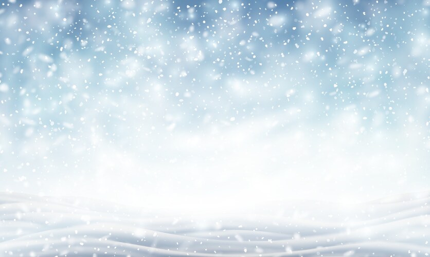 Background white Royalty Free Vector Image - VectorStock