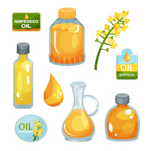Realistic vegetable oils set Royalty Free Vector Image