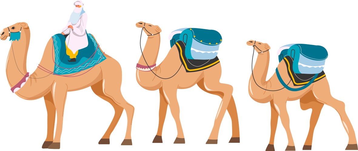 Cartoon zoo camel Royalty Free Vector Image - VectorStock
