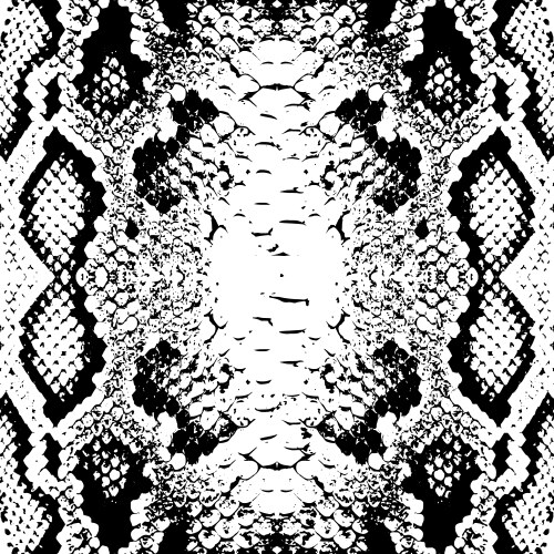 Snake python skin texture seamless pattern black Vector Image