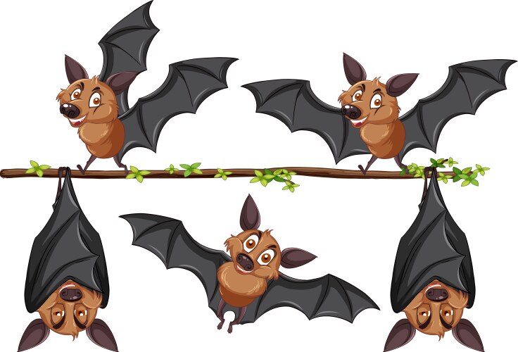 Cartoon bats collection set Royalty Free Vector Image