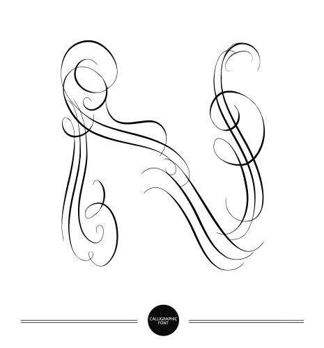 Calligraphic letter abstract font Royalty Free Vector Image