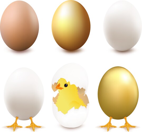 Egg Nature Eggs Vector Images (over 86,000)