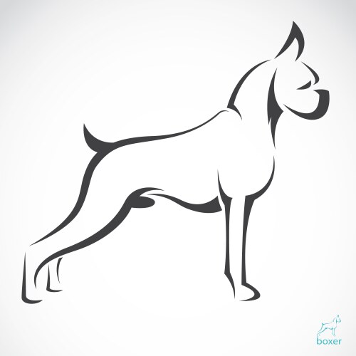Single one line drawing gallant boxer dog Vector Image
