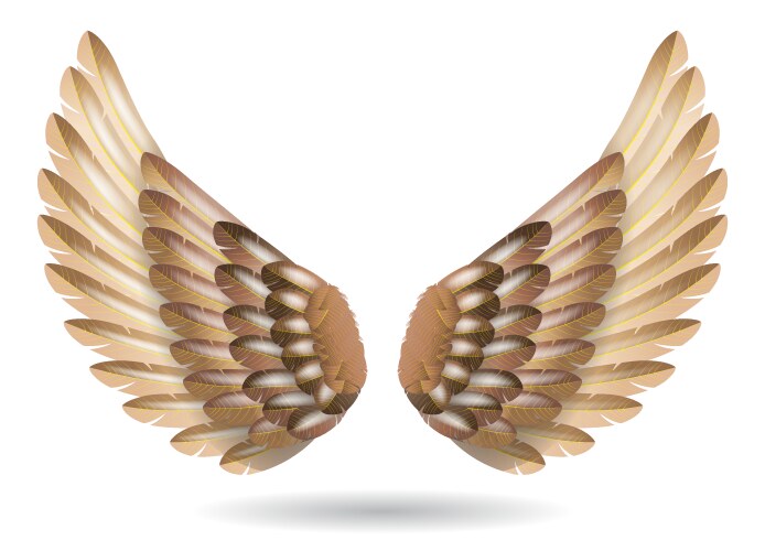 Wings Color Vector Images (over 110,000)