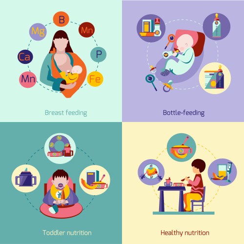 Baby feeding information infographic layout Vector Image