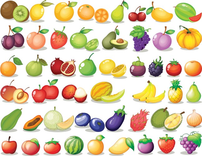 Fruit Vector Images (over 870,000)