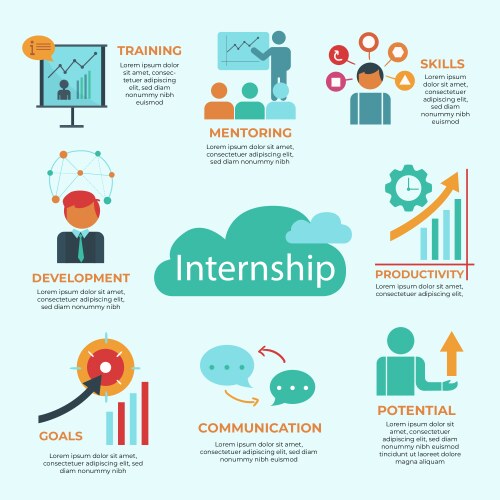 Internship training infographic Royalty Free Vector Image