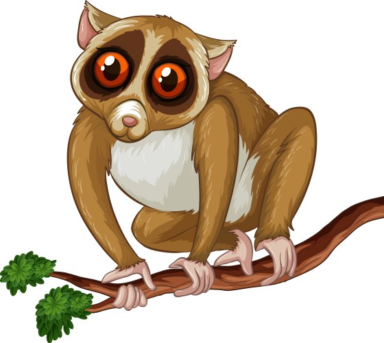 Cartoon slow loris on the branch Royalty Free Vector Image