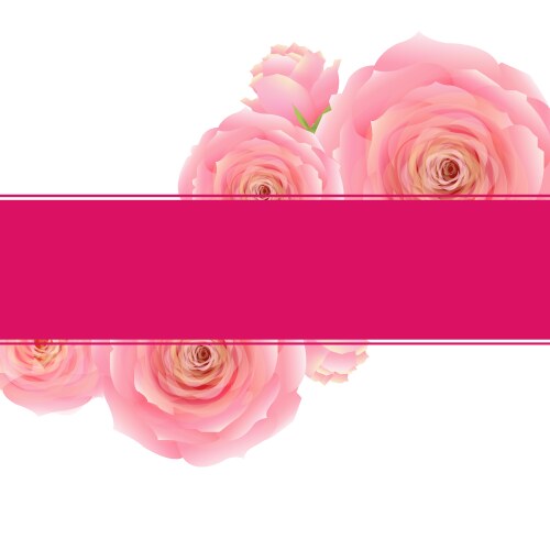 Pink rose border Royalty Free Vector Image - VectorStock