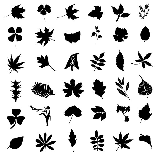 Leaf Vector Images (over 2.3 million)