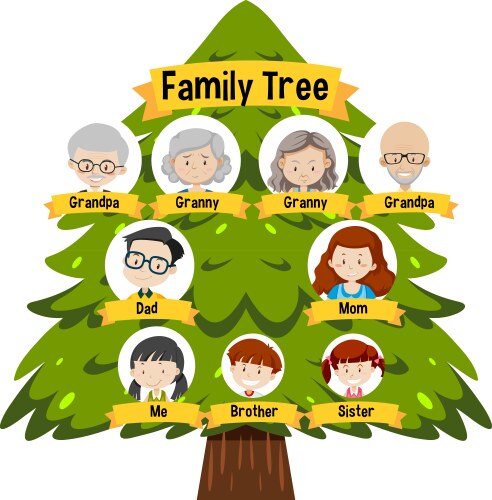 Diagram showing three generation family tree Vector Image