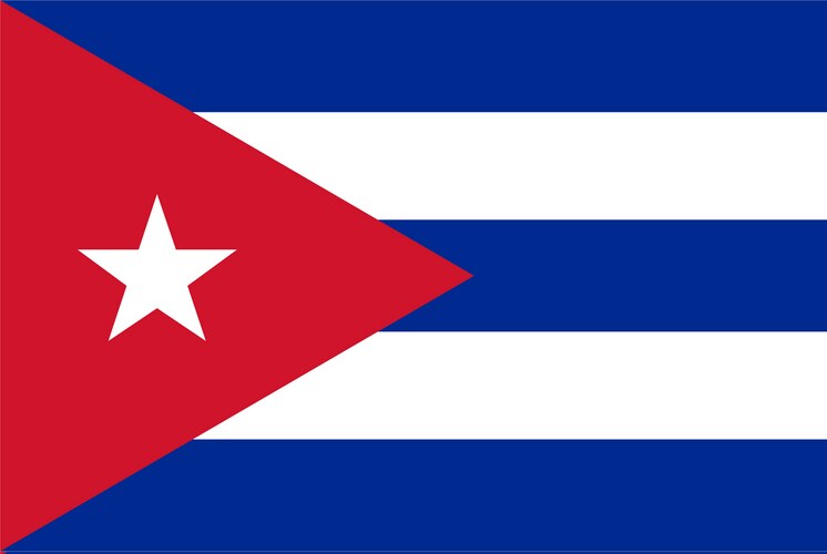 Flag rectangular shape Royalty Free Vector Image