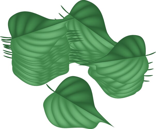 Betel Leaves Vector Images (87)